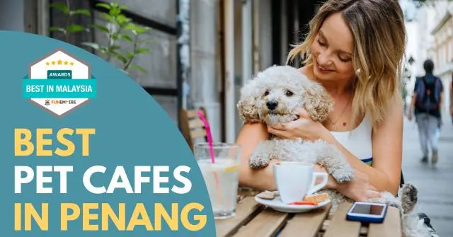 9 Best Pet Cafes in Penang [2026] | FunEmpire®